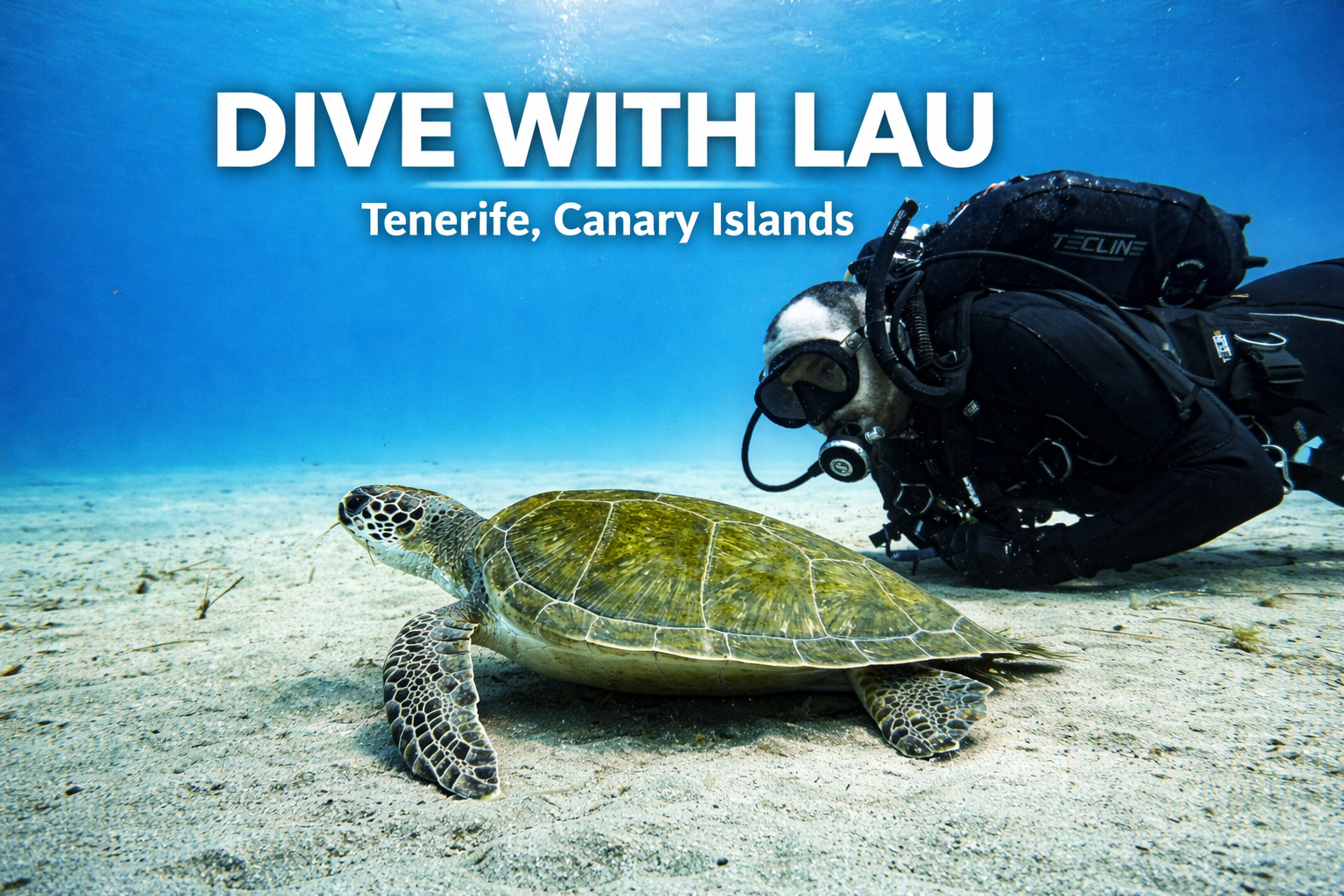 All PADI Certifications Explained: Complete Diver Guide | Dive With Lau
